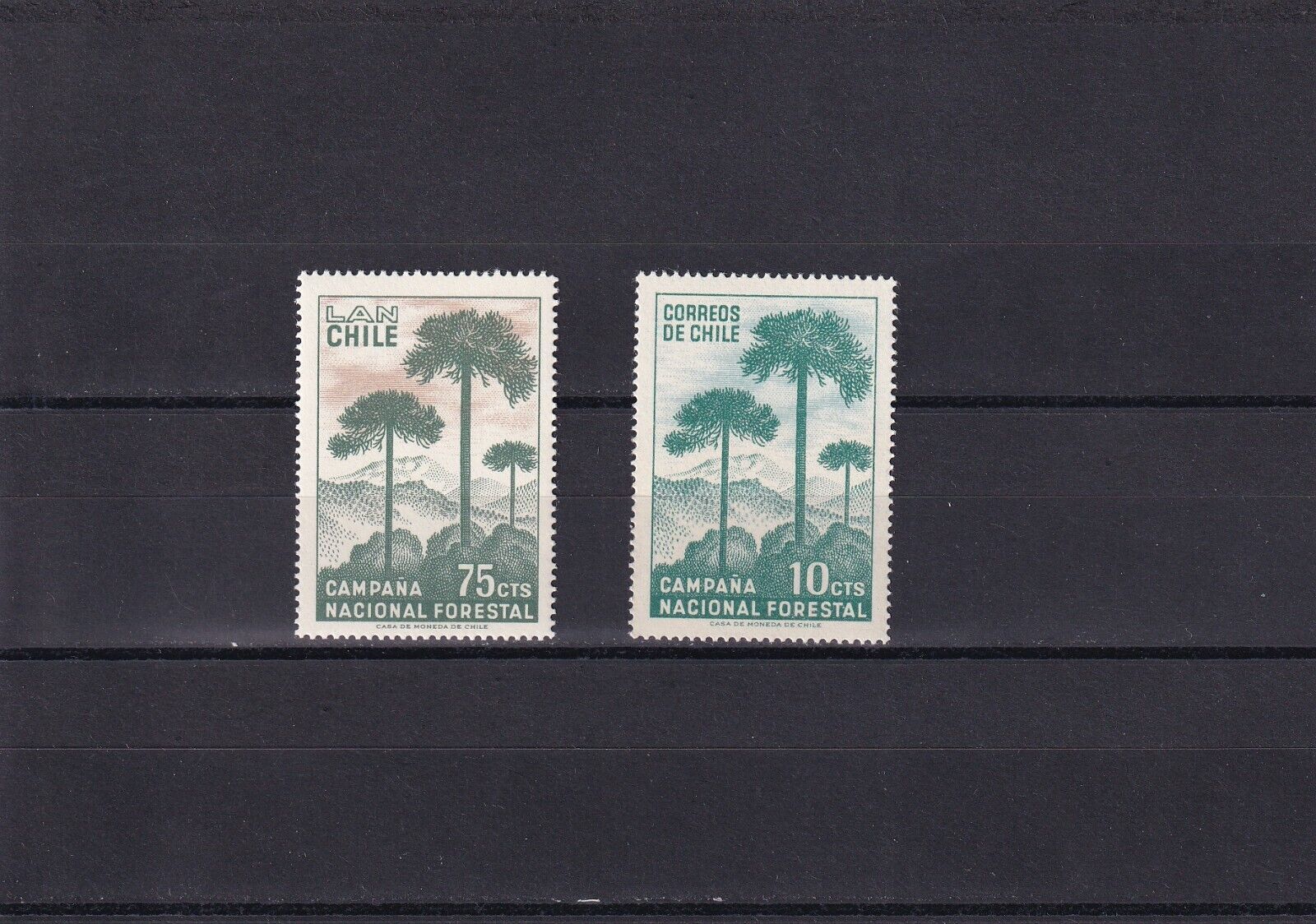 SA07b Chile 1967 Reforestation campaign mint stamps | Central & South ...