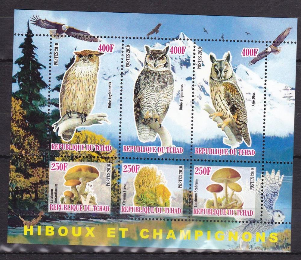 Tchad Chad Sheet Owls Birds Mushrooms | Africa - Chad, Stamp / HipStamp