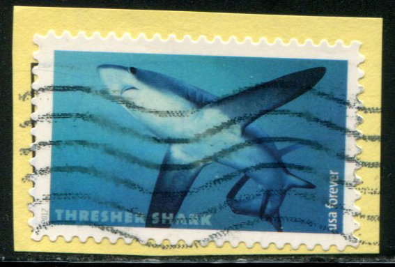 5225 US (49c) Thresher Shark SA, used on paper | United States, General ...