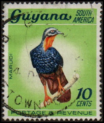 Guyana 44 - Used - 10c Marail Guan (1968) + | Central & South America ...
