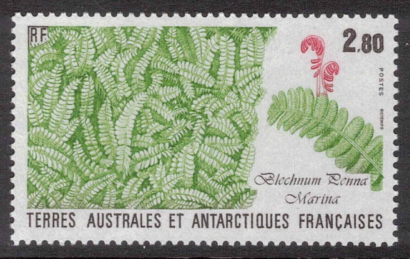 FRENCH ANTARCTIC 1989 Fern; Scott 145, Yvert 143; MNH | Europe - France ...