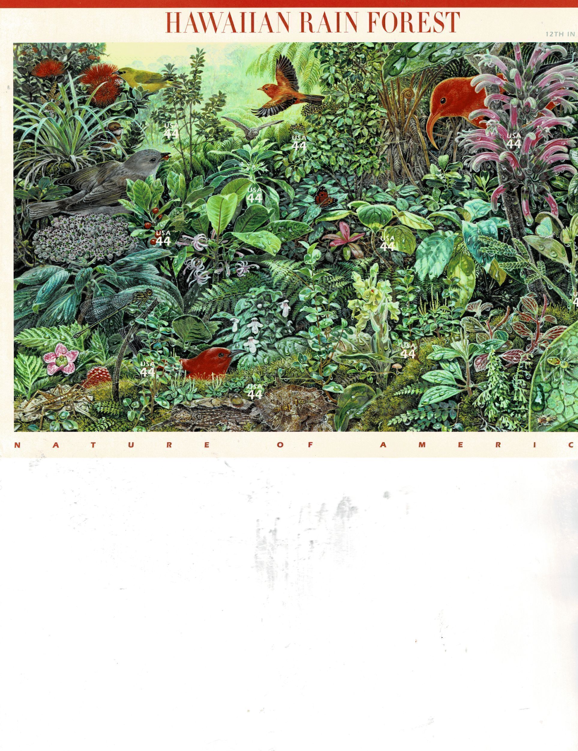 Hawaiian Rainforest 44c US Postage Sheet #4474 VF MNH | United States ...