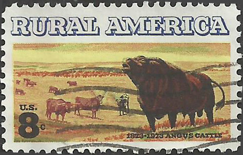 # 1504 Used Angus and Longhorn Cattle | United States, General Issue ...