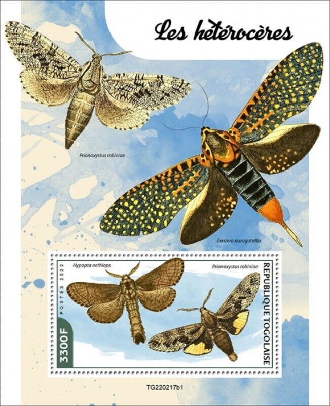 Togo - 2022 Moths, Carpenterworm Moth - Stamp Souvenir Sheet ...