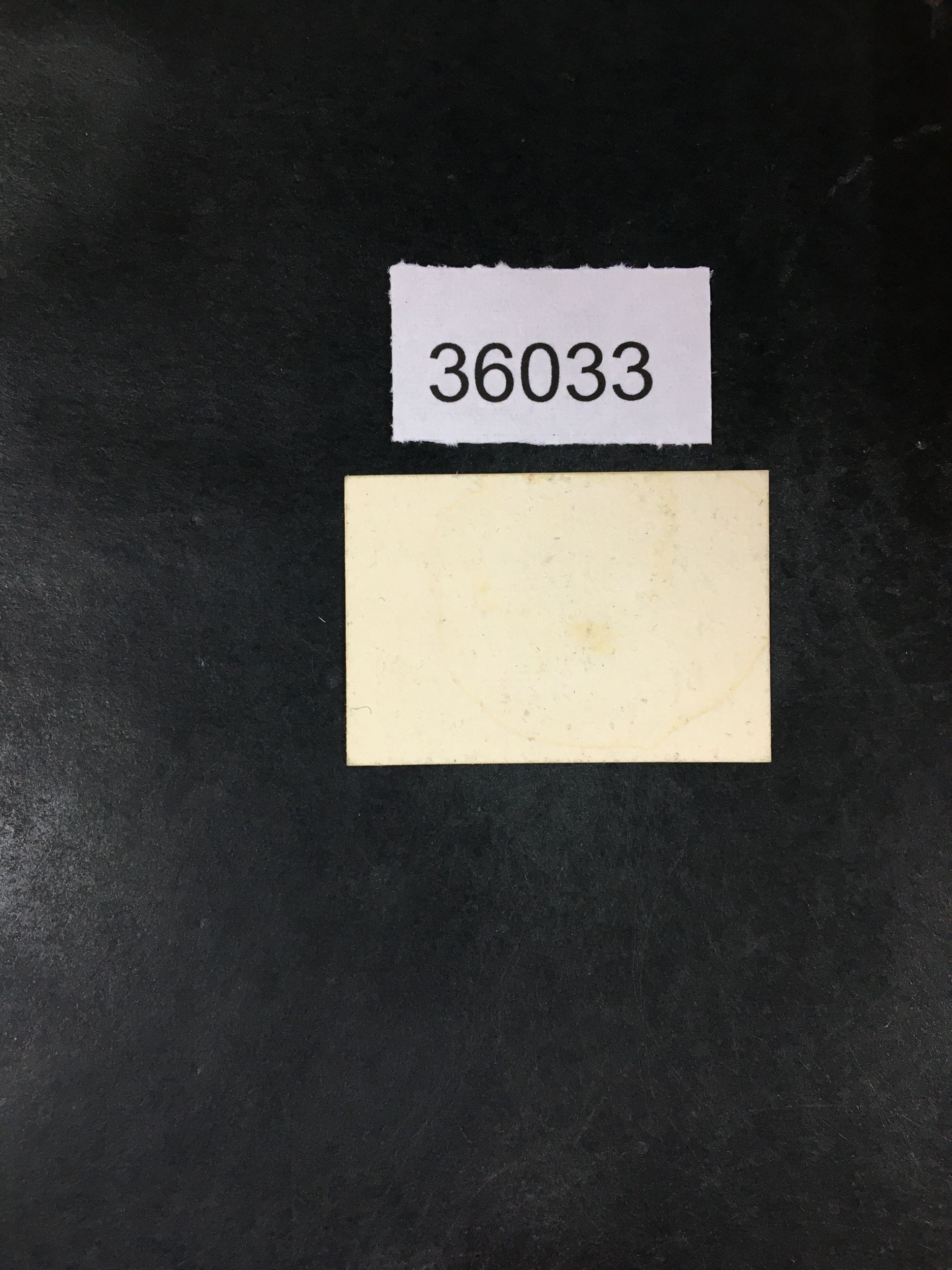 US Stamps # 244p4 Plate Proof on Card $275 LOT #36033 | United States ...