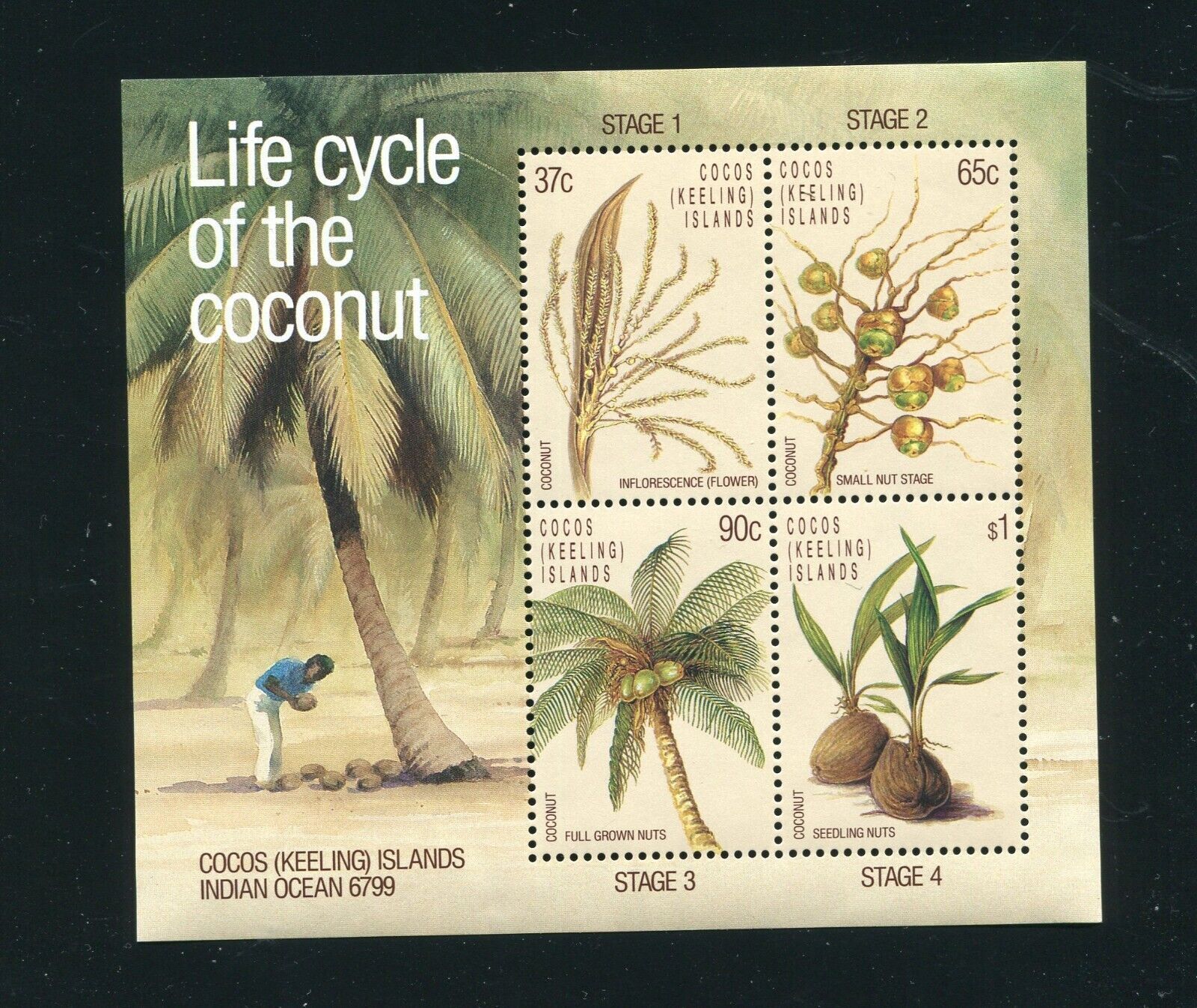 Cocos Islands 176a Life Cycle of the Coconut Stamp Sheet MNH ...