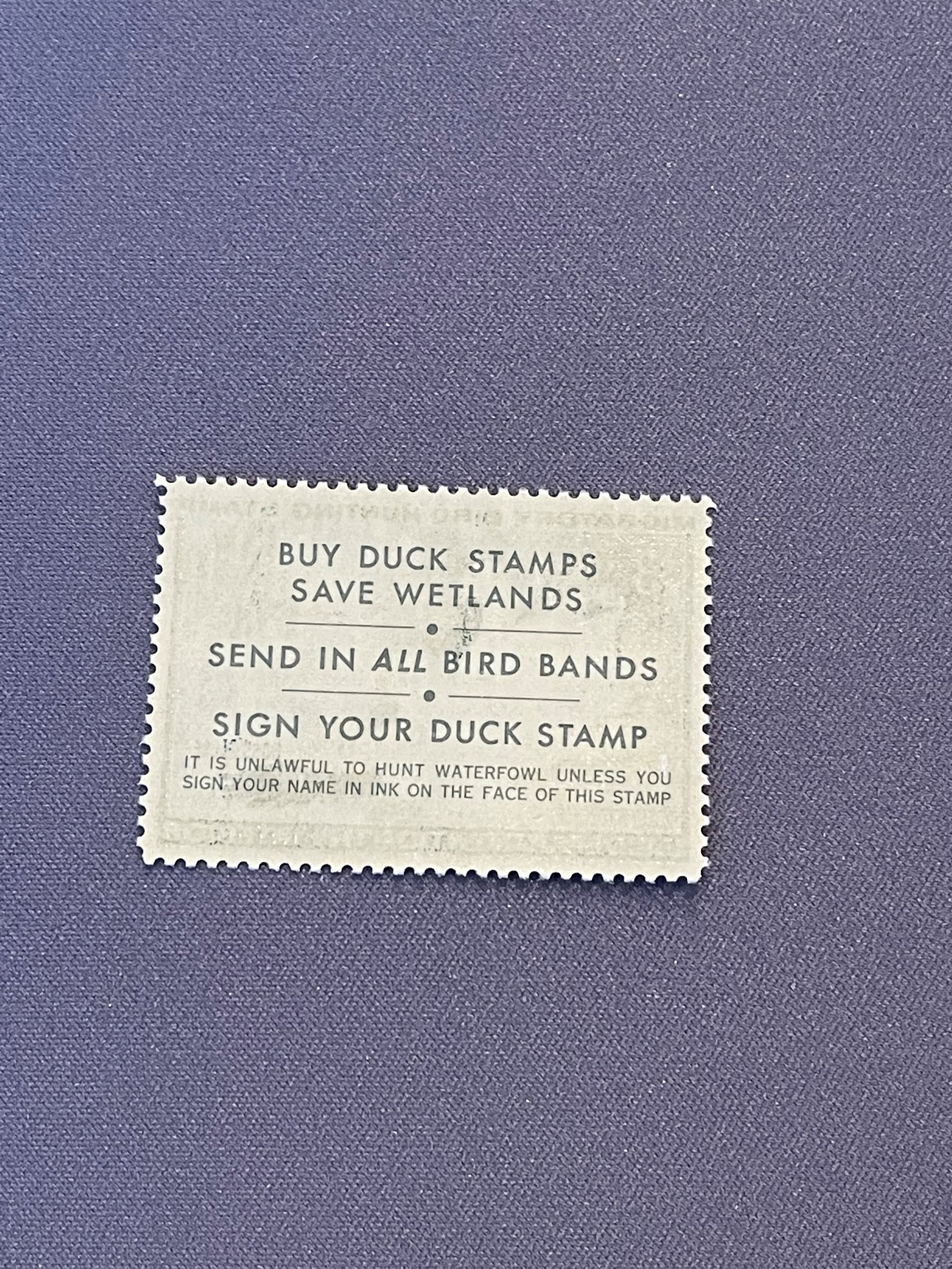 RW37, Ross' Geese, Mint OGNH, CV $80.00 | United States, Duck Stamps ...