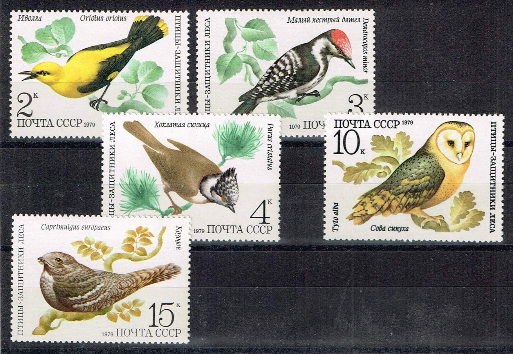 Soviet Union 1979,Sc.#4776-4780 MNH Birds | Europe - Russia & Soviet ...