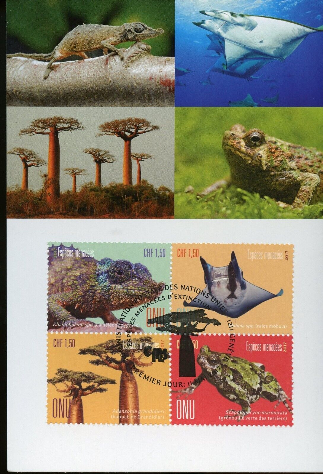 United Nations 2017 Endangered Species Maximum Cards NY Vienna Geneva ...