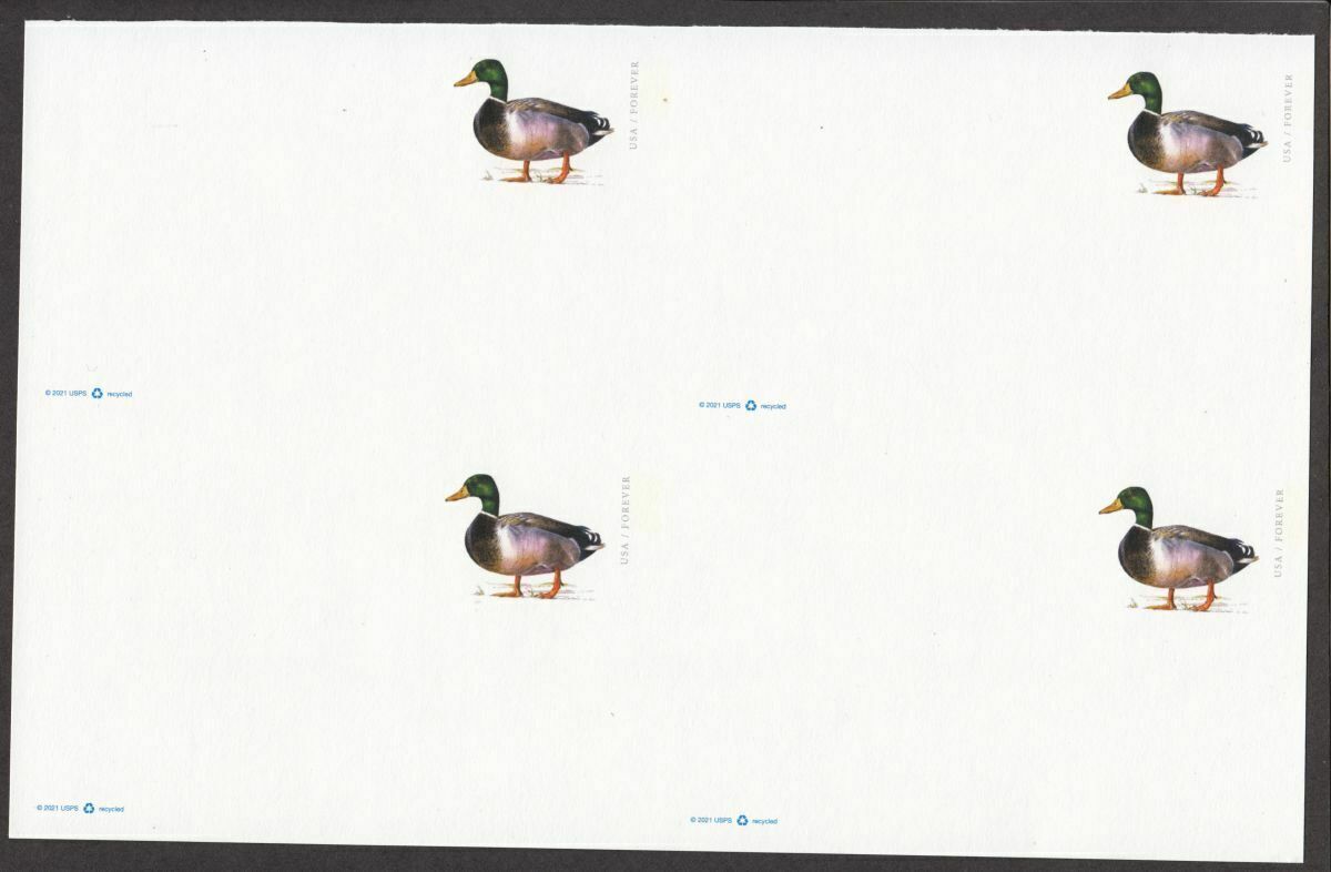 2021 Mallard stamped Postal Card Sc UX648 UNCUT BLOCK of 4 from full ...