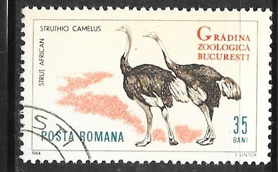 Romania 1679: 35b Common Ostrich (Struthio camelus), CTO, F-VF | Europe ...