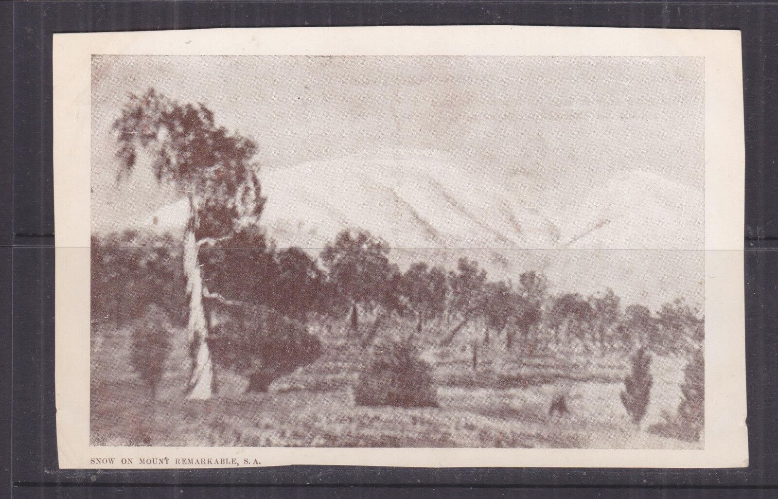 SOUTH AUSTRALIA, 1909 ppc. SNOW ON Mt. REMARKABLE, 1d. to Hackney ...