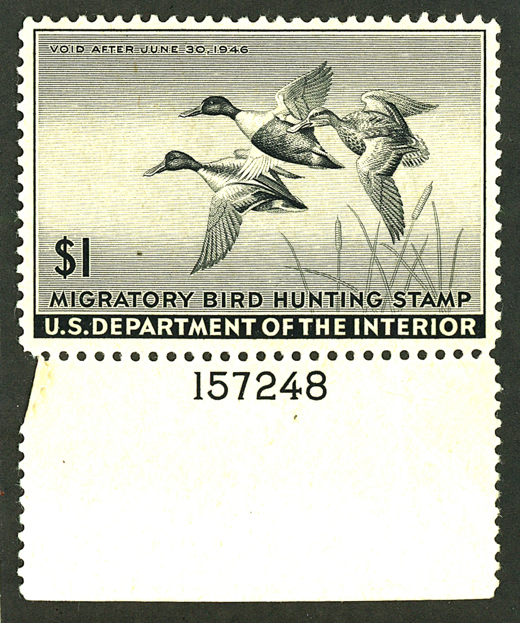 U.S. #Rw12 Mint PL# Single OG HR | United States, Duck Stamps - Federal ...