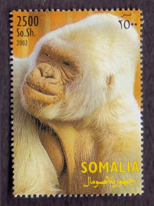 Somalia 2002 Gorilla Monkey African Wild Animals 2500SH (#13) | Africa ...