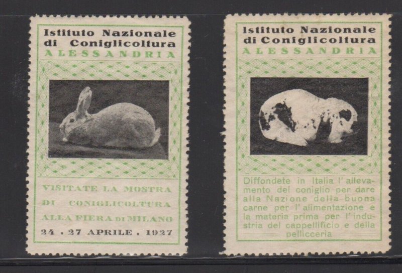 Italian Advertising Stamps National Institute of Rabbit Breeding 1927 ...