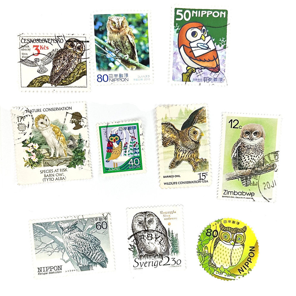 10 x Owl postage stamps - all different, from 6 countries - off paper ...