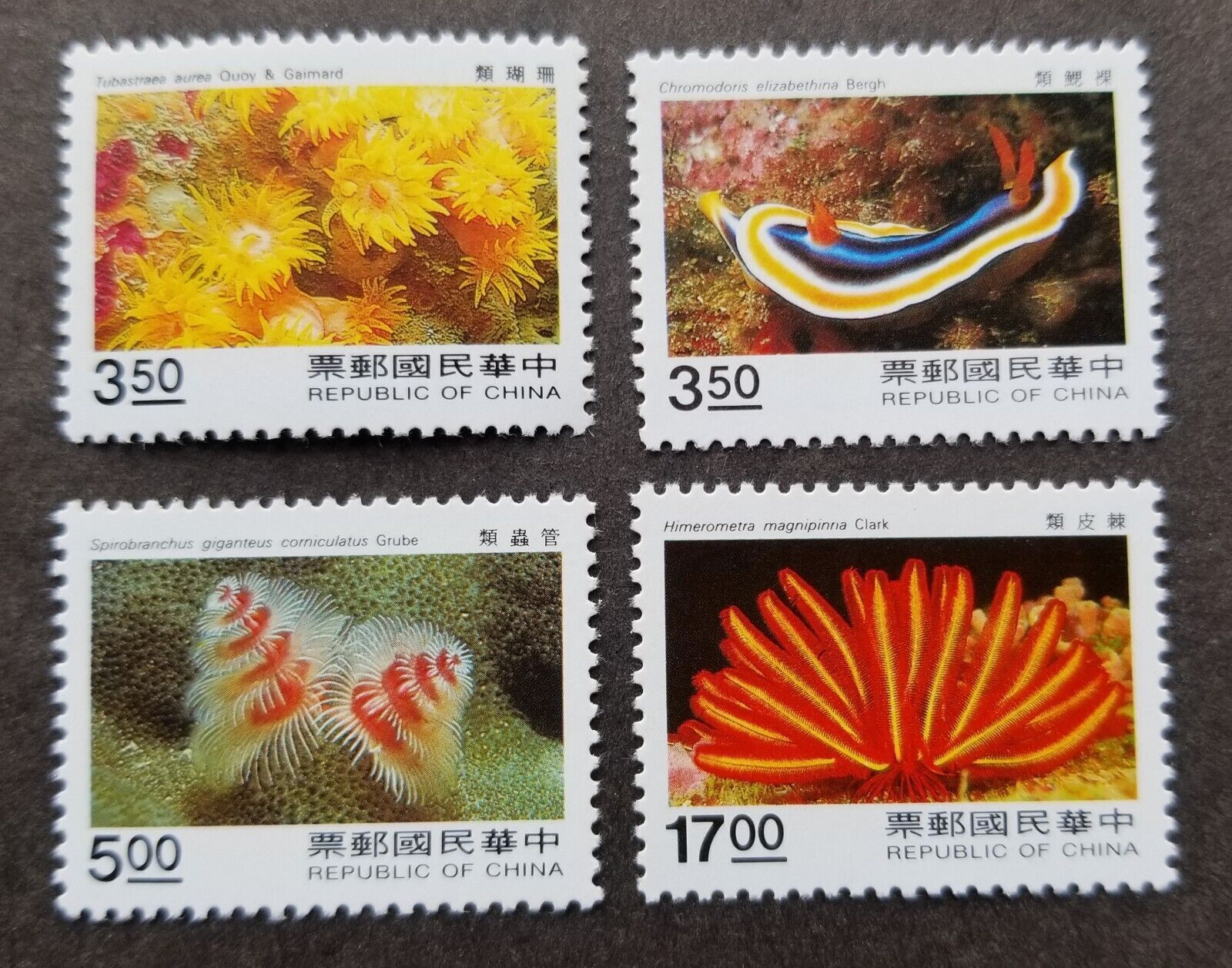 Taiwan Oceanic Creatures 1995 Marine Life Coral Ocean Reef Sea Slug ...
