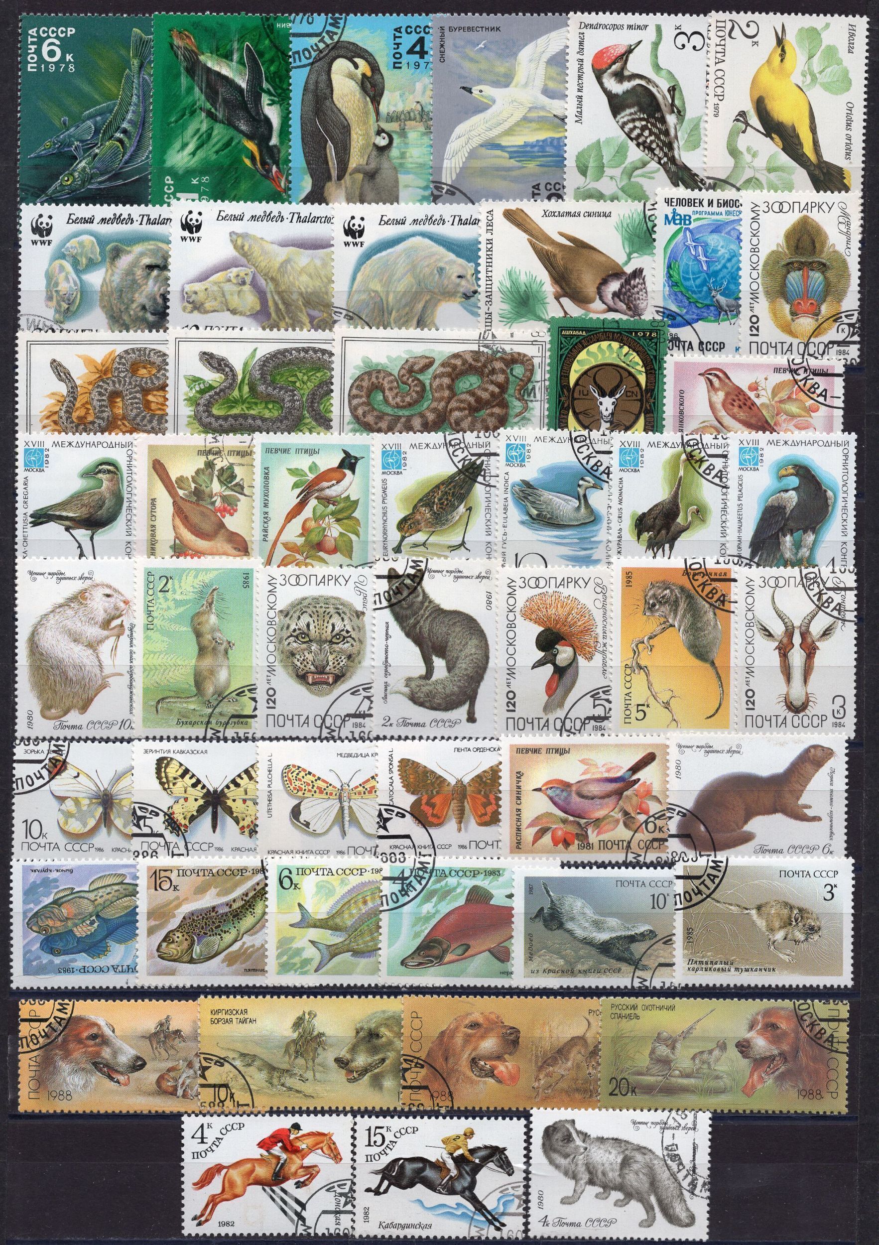 009 - RUSSIA - Fauna - Fish - Birds - Dogs - Snake - 50 Different used ...