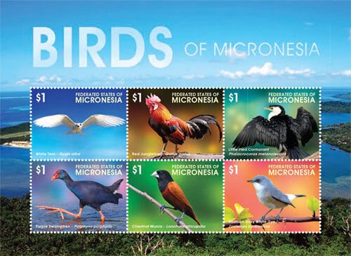 Micronesia 2015 - Birds of Micronesia Stamp - Sheet of 6 - MNH ...