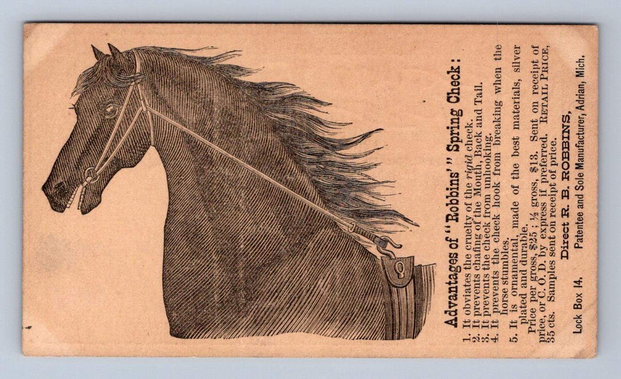 USA UX3 Upss S2 Postal Card Robbins Spring Check Horse Rein Adrian ...