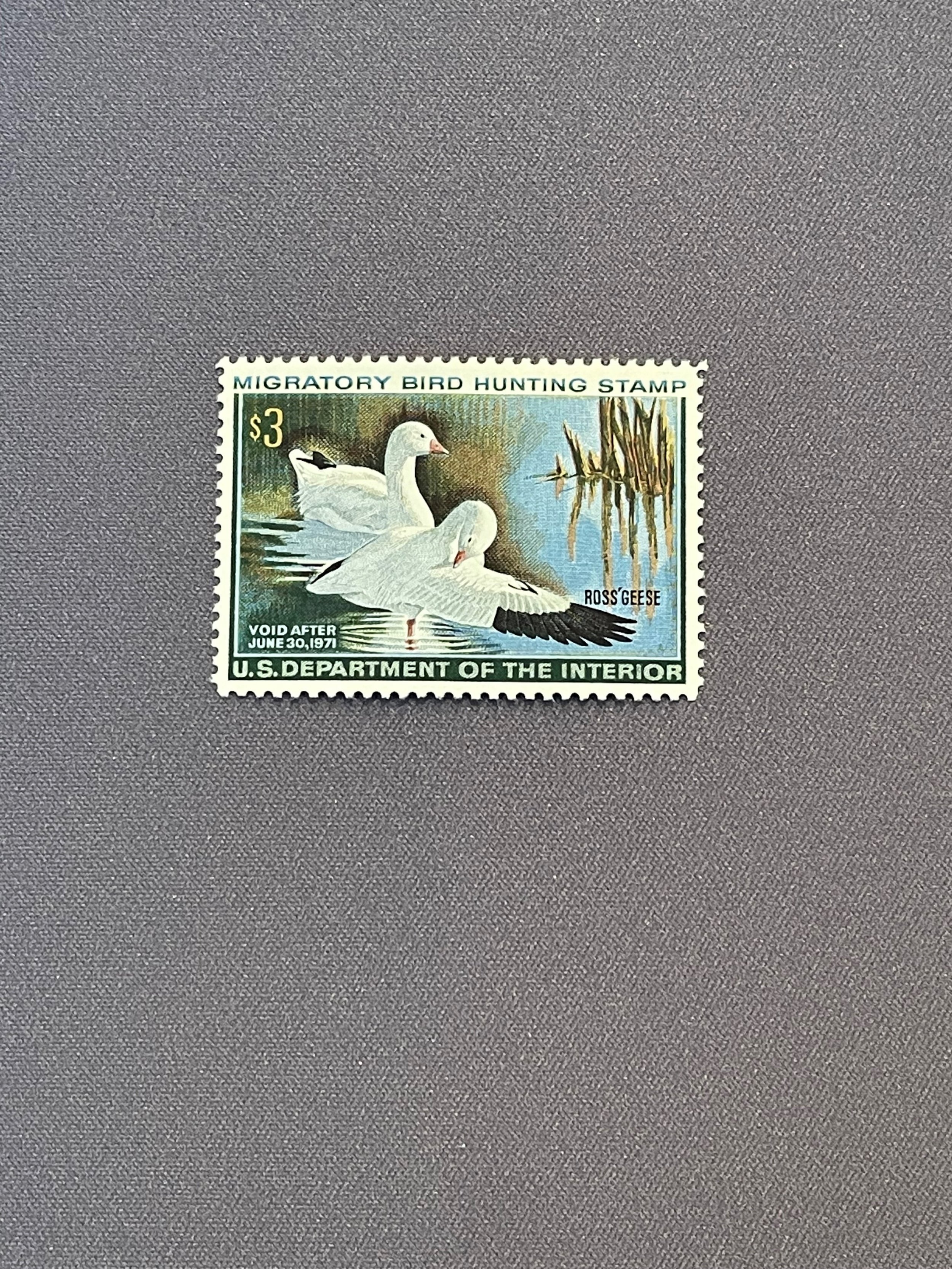 RW37, Ross' Geese, Mint OGNH, CV $80.00 | United States, Duck Stamps ...