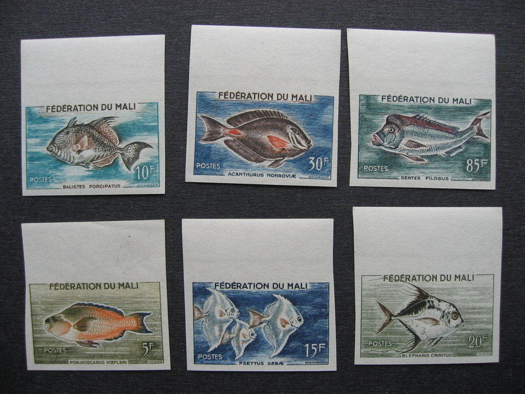 MALI fish Sc 2,3,4,5,7,8 MNH imperf nice stamps PLZ read description ...