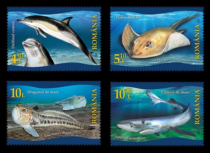 Romania 2022 Fish Black SEA Fauna Poissons Fische Pesce Pescado ...