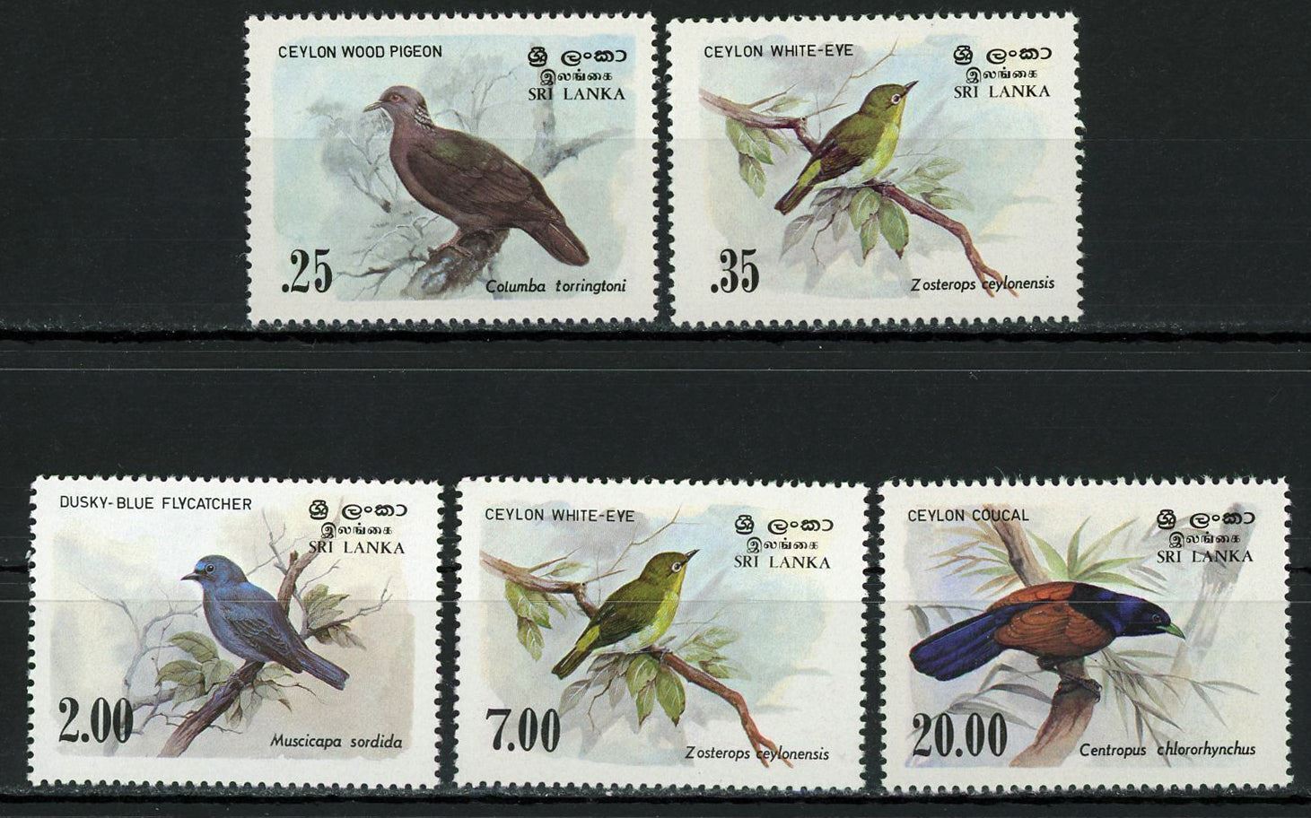 Sri Lanka Birds Ceylon Pigeon White-eye Coucal Serie Set of 5 Stamps ...