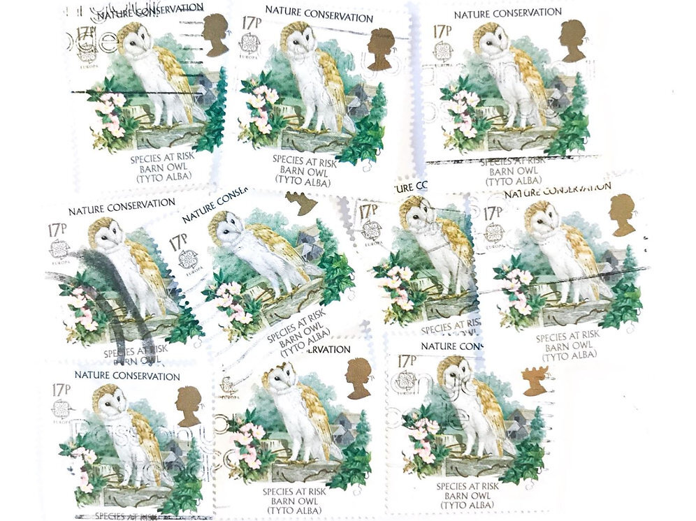 10 x Barn Owl, used, GB postage stamps all off paper - 1986 Nature ...