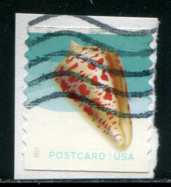 5167 US (34c) Seashells SA - Alphabet Cone, used on paper | United ...