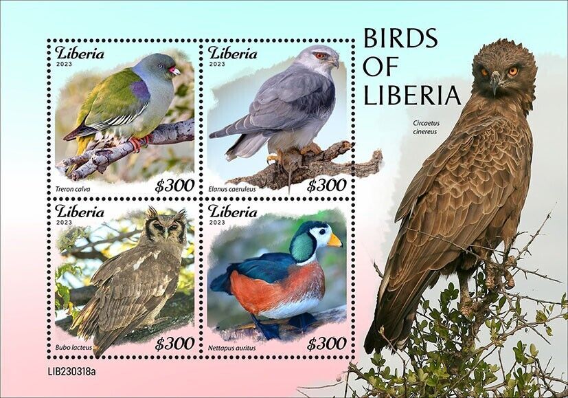2024 10 - Liberia - Birds of Liberia 4v MNH ** | Africa - Liberia, Back ...