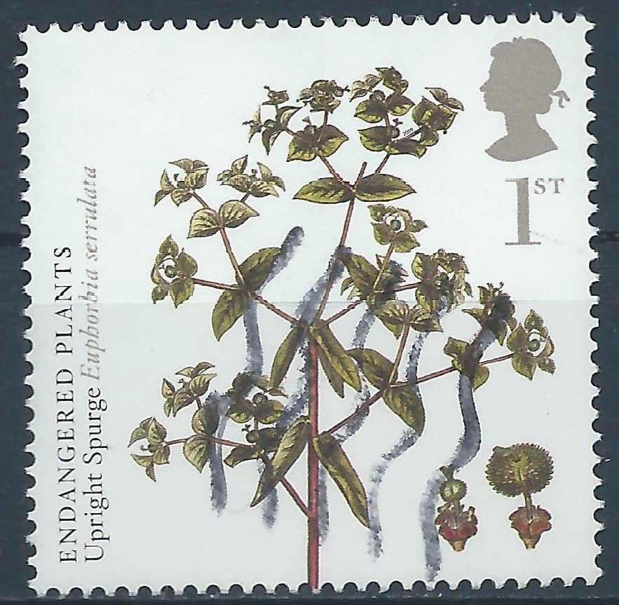 Great Britain 2009 - 1st Action for Species (Upright Spurge) - SG2937 ...