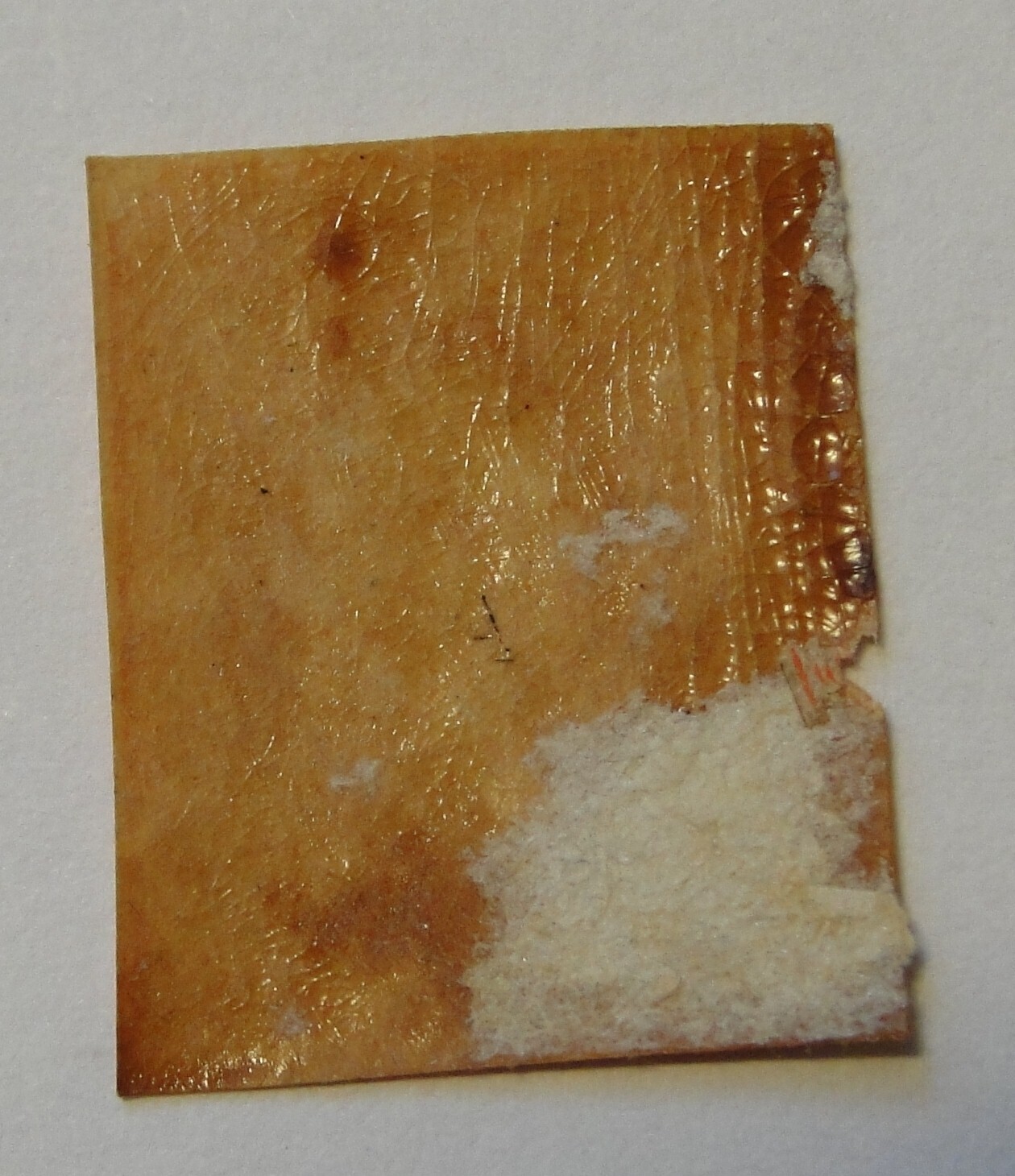 US 89L1 Jenkins’ Camden Dispatch Stamp – OG – Damaged – Forgery ...