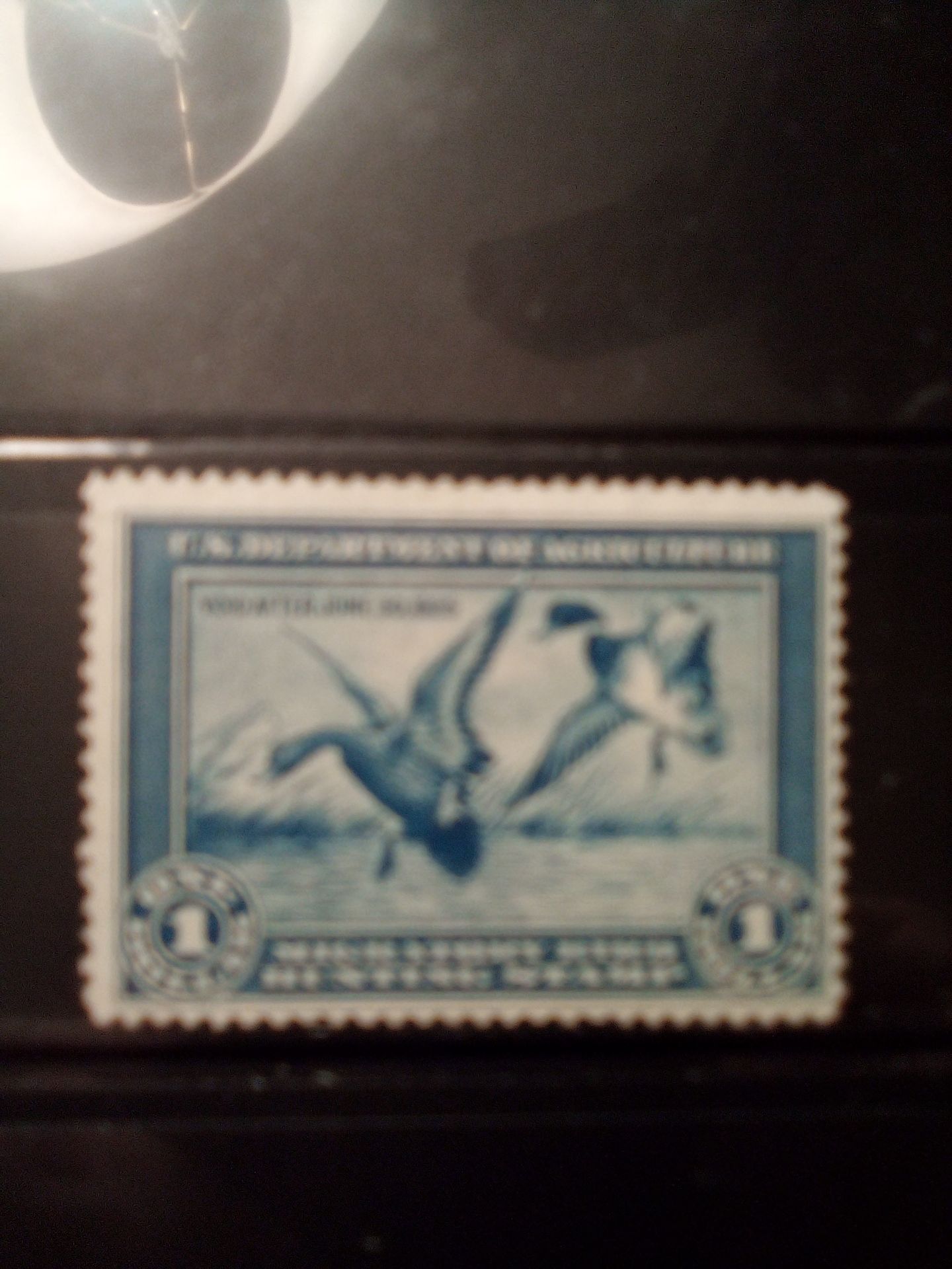 United States #RW1 duck stamp | United States, Duck Stamps - Federal ...