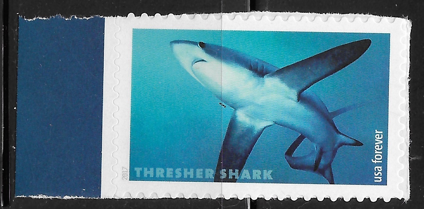 US #5225 (49c) Sharks - Thresher ~ MNH | United States, General Issue ...