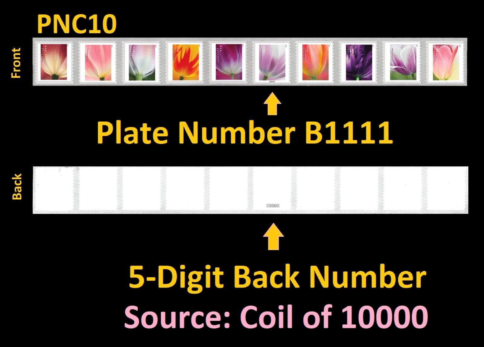 US 5786a Tulip Blossoms forever #on# PNC10 B1111 5-digit back number ...