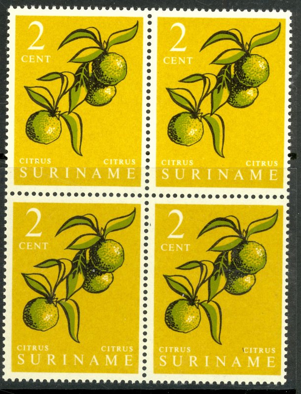 SURINAME 1961 2c CITRUS FRUIT Pictorial Block of 4 Sc 285 MNH | Central ...