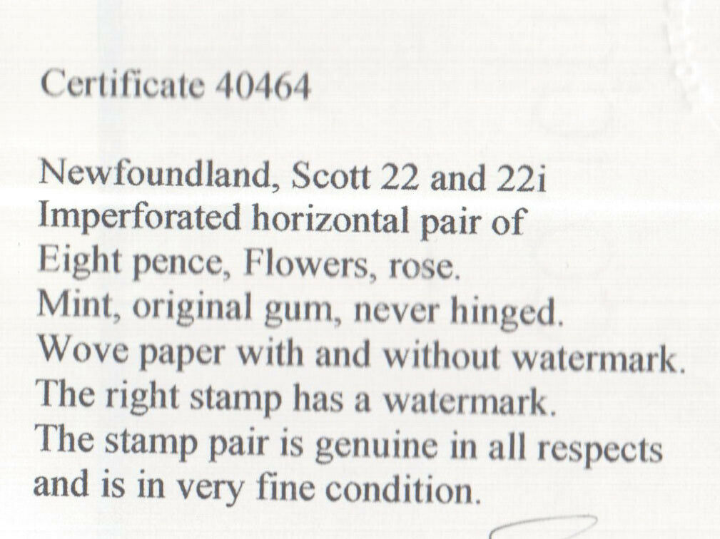 Newfoundland #22 #22i Extra Fine Never Hinged Pair **With Certificate ...