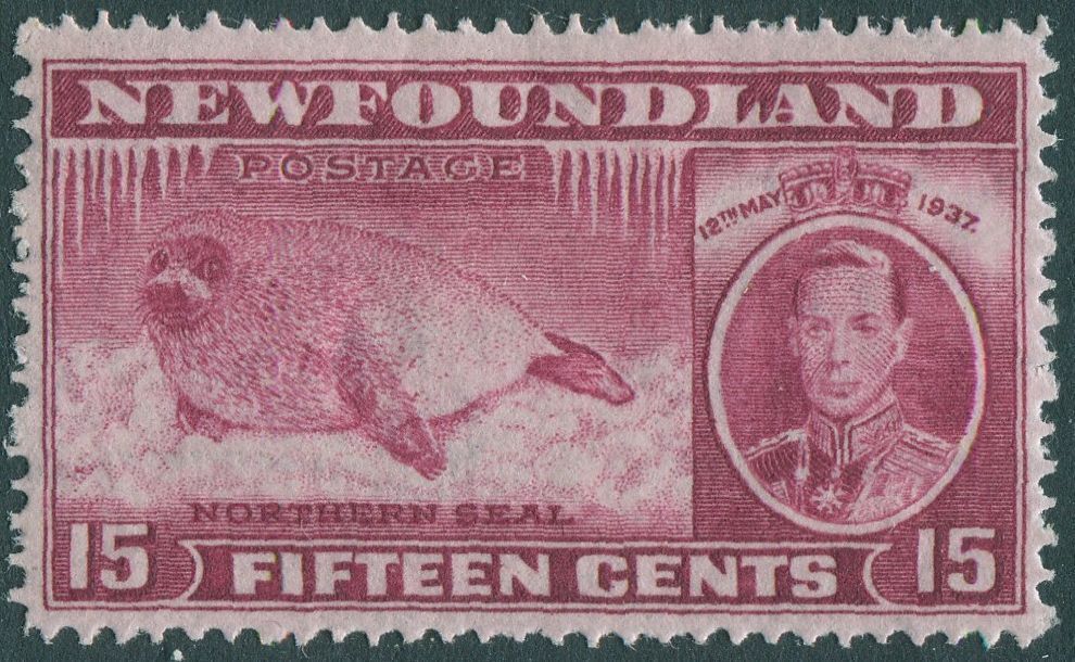 Newfoundland 1937 SG263 15c red Harp Seal thin on back MLH | Canada ...