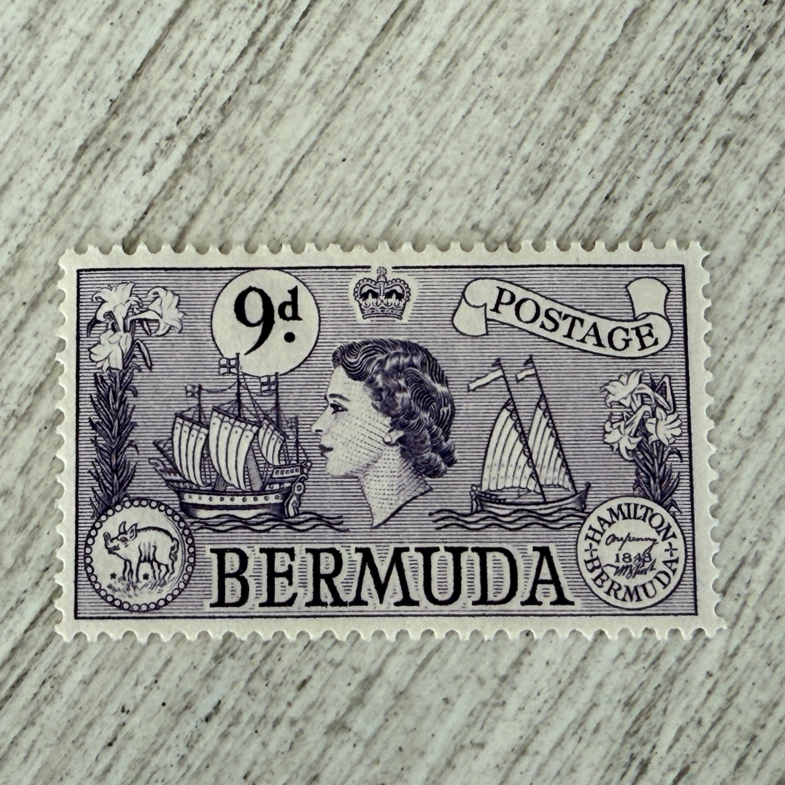 Bermuda #154 mng, 9p, "Sea Venture", hog coin, and ..., 2024 SCV.$7.25 ...