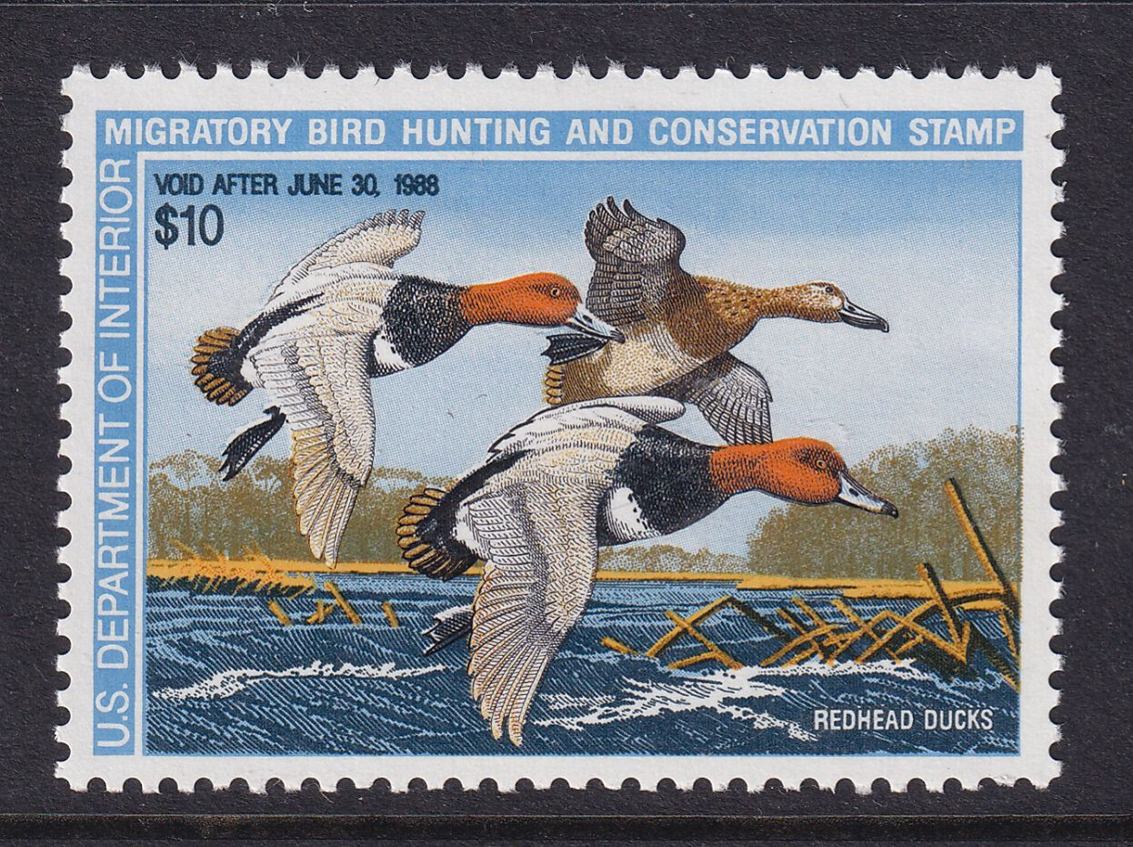 1987 Federal Duck Stamp $10 Sc RW54 MNH single stamp Redhead Ducks ...