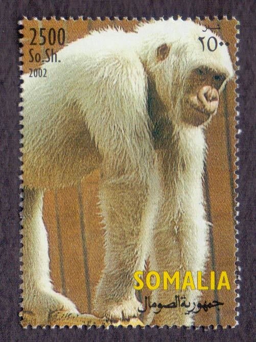 Somalia 2002 Gorilla Monkey African Wild Animals 2500SH (#09) | Africa ...