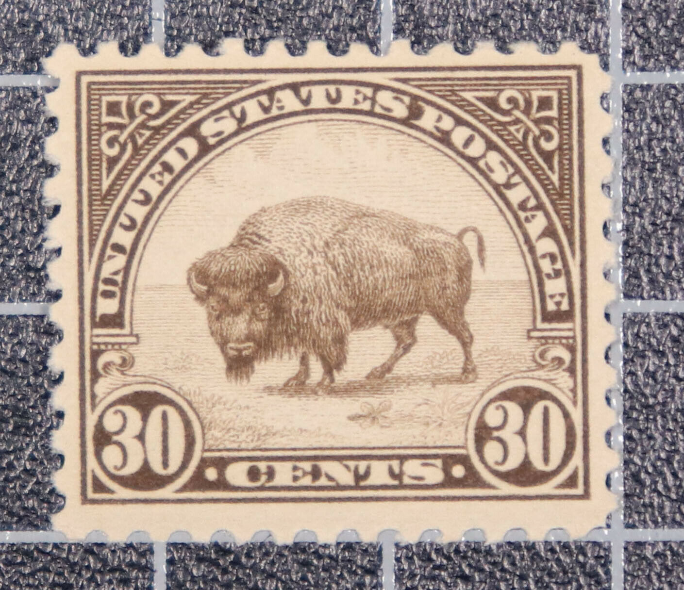 Scott 569 - 30 Cents Buffalo - MNH - Nice Stamp - SCV - $50.00 | United ...