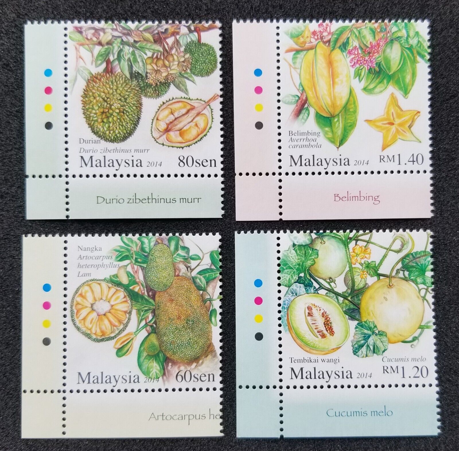 *FREE SHIP Malaysia Fruit 2014 Food Durian Jack Fruit Plant (stamp ...