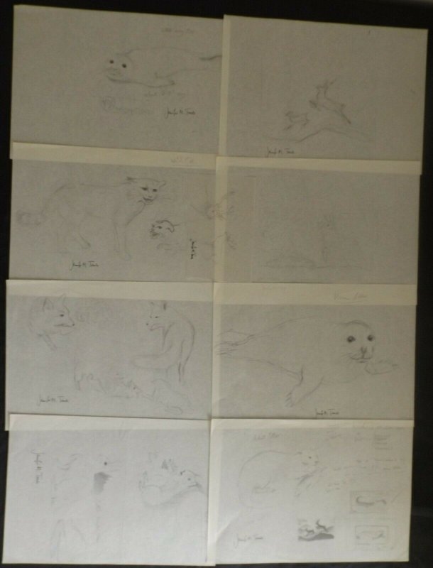 ST Kilda wild animals of Scotland. 14 original pencil sketches by the ...