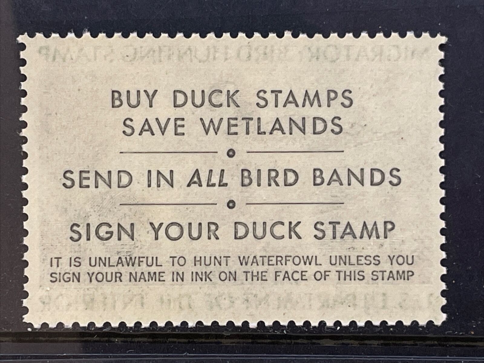 1976 US Federal Migratory Waterfowl Duck Stamp RW43 MNH | United States ...