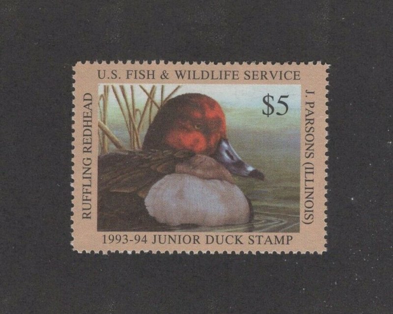 JDS1 - Junior Duck Stamp. Single. MNH. OG. #02 JDS1b | United States ...