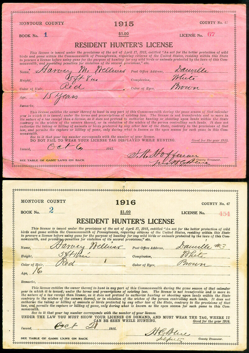 US 1915-16 Lot of 2 Resident Hunters Licenses Danville PA | United ...