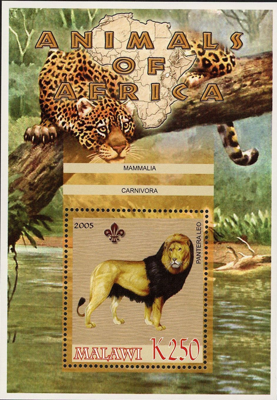 Malawi Animals of Africa Mammals Panthera Leo Souvenir Sheet Mint NH ...