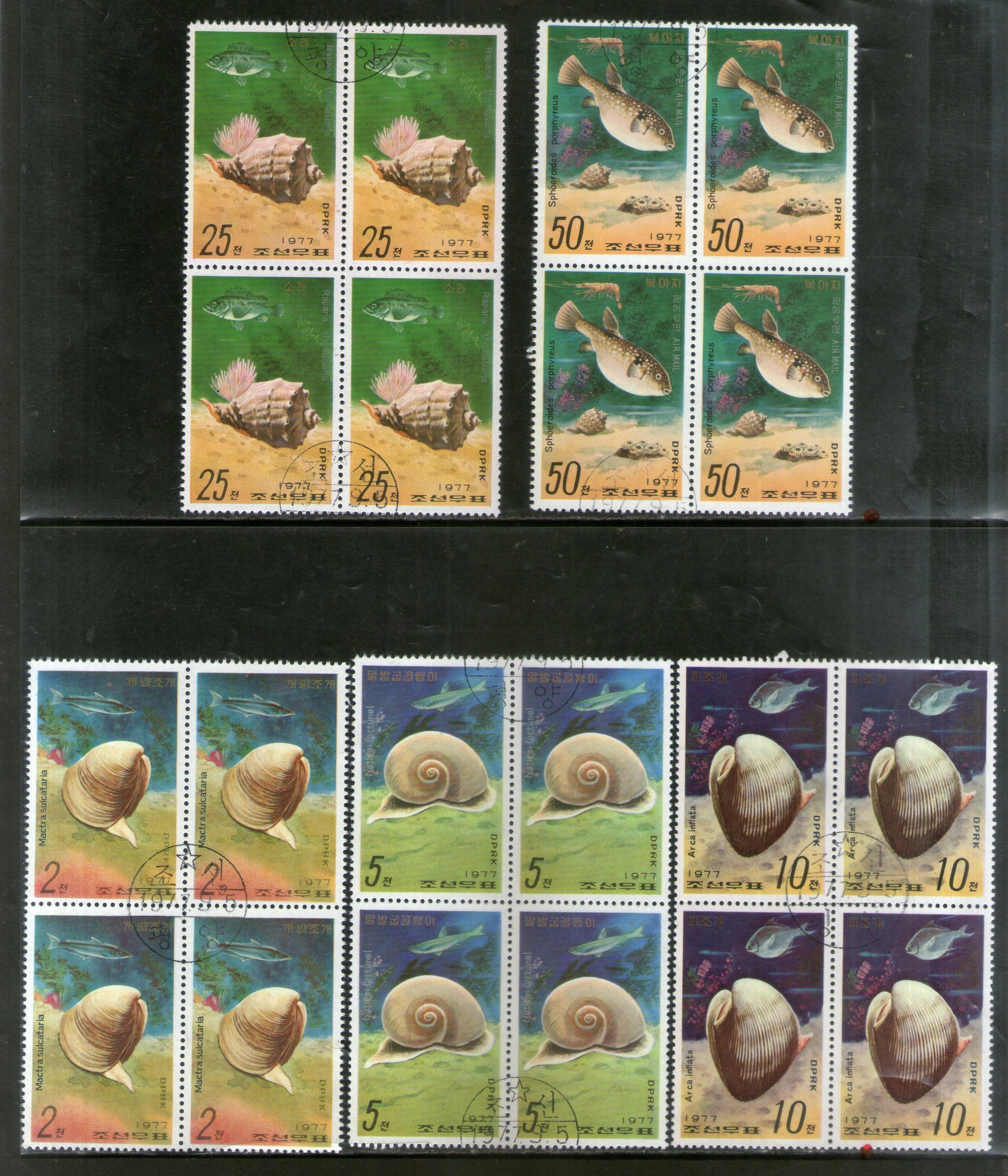 Korea 1977 Sea Shell Fish Marine Life BLK/4 Sc 1618-22 Cancelled ...